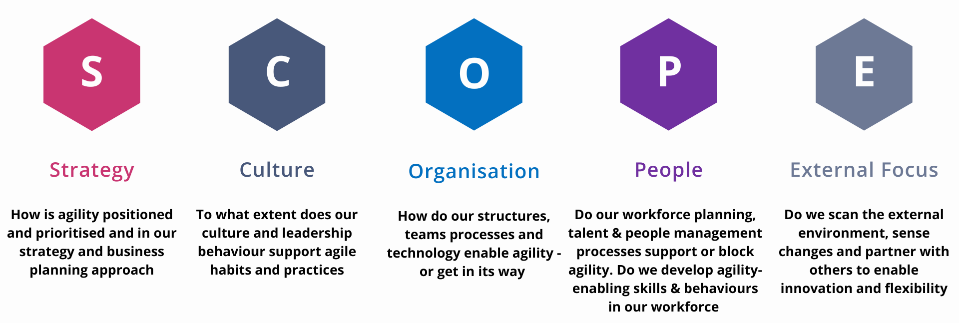 Measure Your Organisational Agility with S.C.O.P.E.